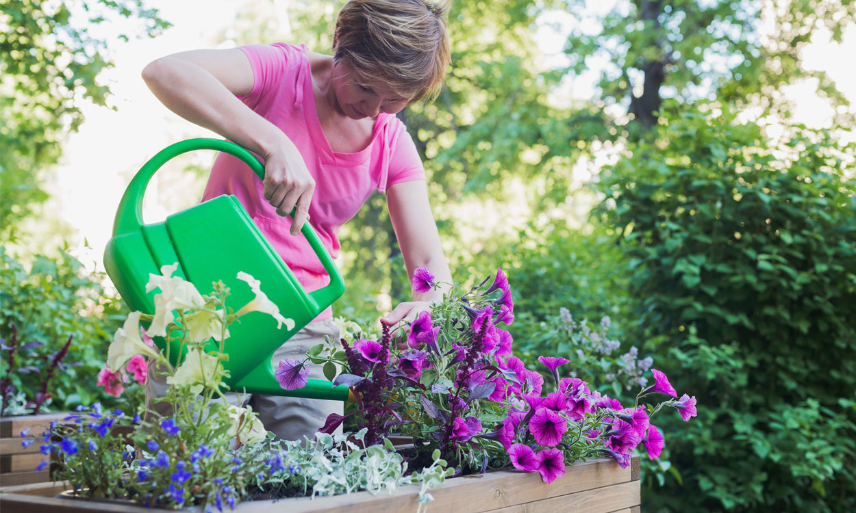 25 plantas de exterior que son perfectas para tu jardín o patio